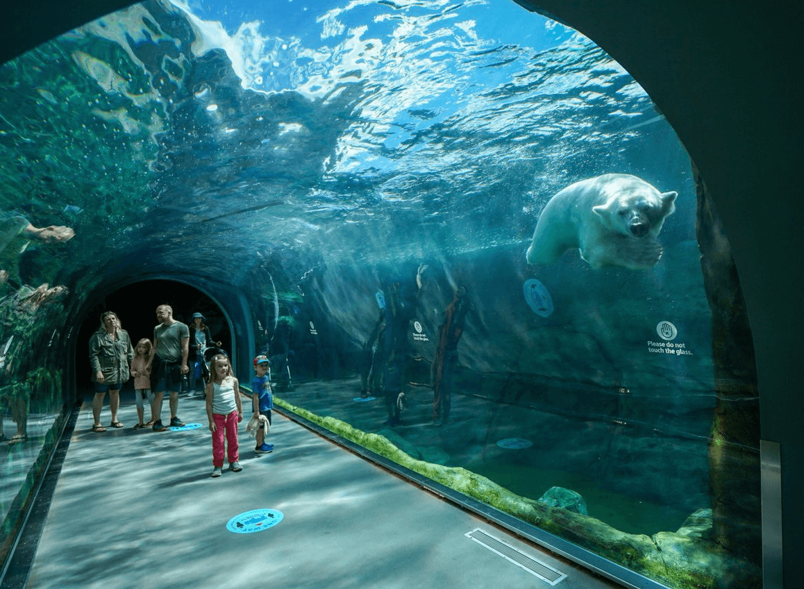 Some Fun Things To Do In Winnipeg With Family And Kids In 2023
