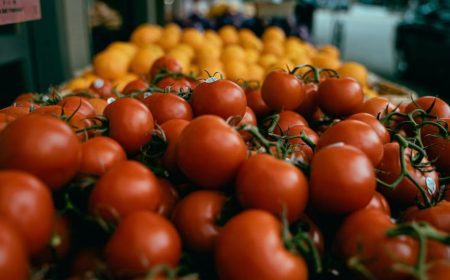 Lawsuit Challenges Trump EPA’s Latest Approval of ‘Forever Chemical ...