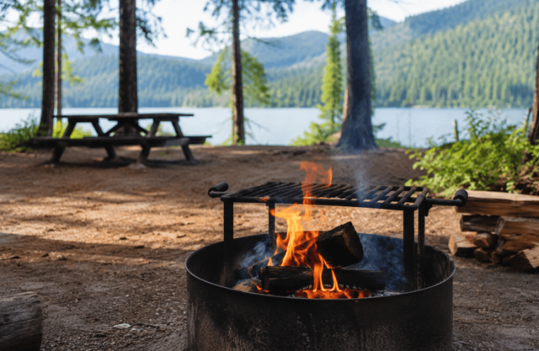 Campfire Bans Lifted Across Most Strathcona Regional District Areas as ...